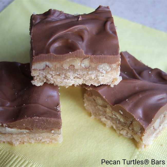 Pecan Turtles® Bars – The Delish Recipe